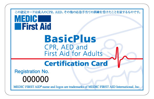 BasicPlus Instructor – YELL Learning Hub
